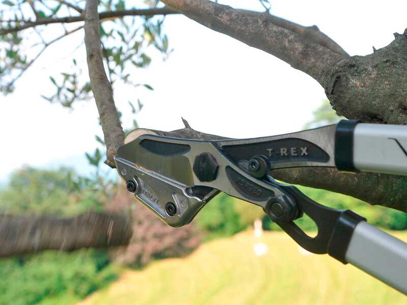 VESCO T-REX T10 - Cortarramas de yunque recto en Oferta | AgriEuro